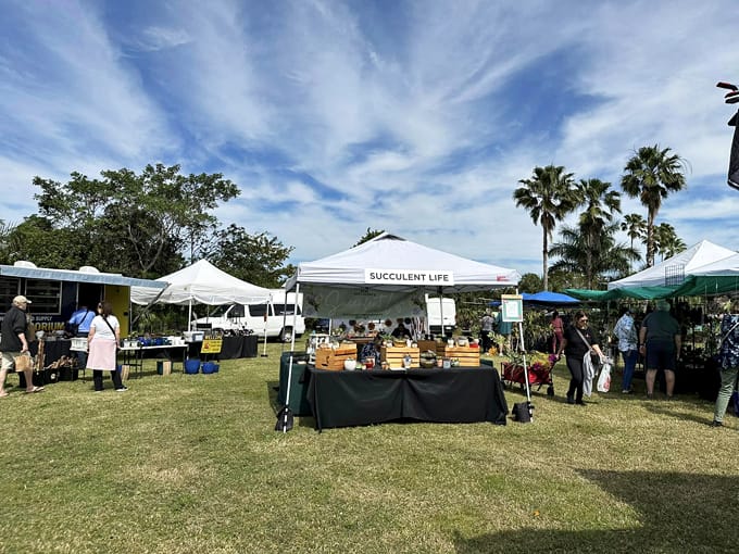 sawgrass nature center wildlife 4 1