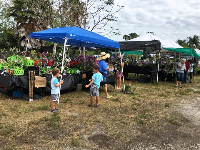sawgrass nature center wildlife 8 1