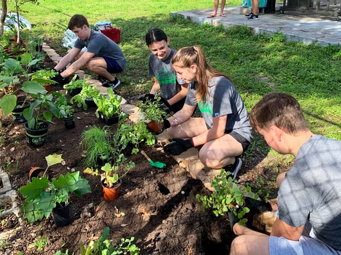sawgrass nature center wildlife 9 1