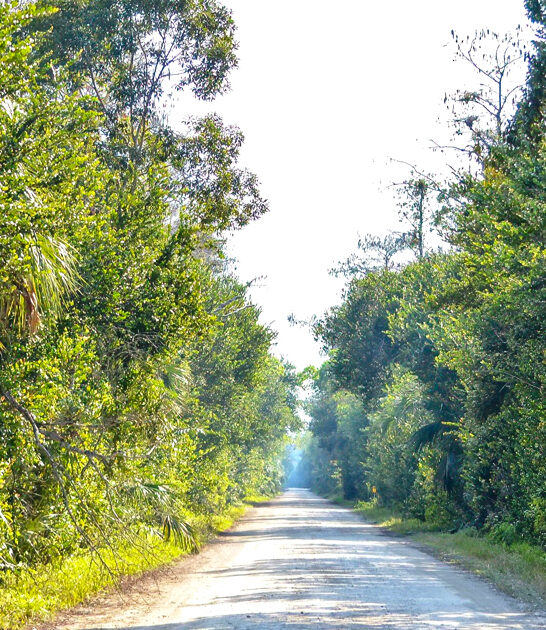 scenic loop florida ftr