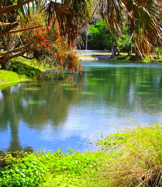 scenic trail adventure florida ftr