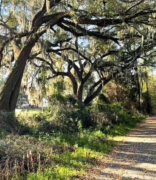scenic trail florida ftr