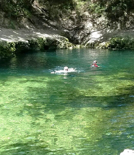 serene crystal spring florida ftr