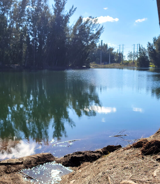 top hidden gems florida ftr