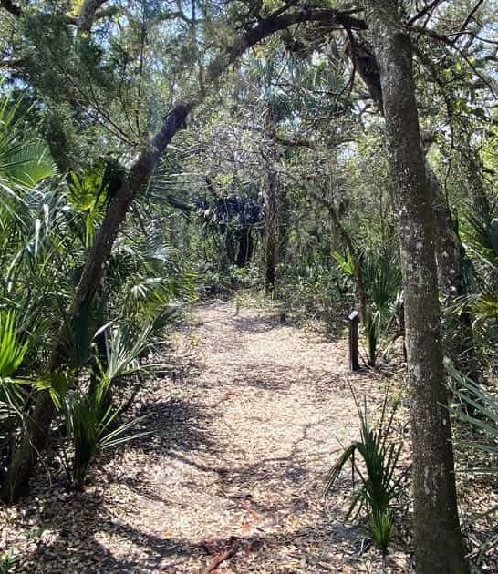 top short hikes florida ftr