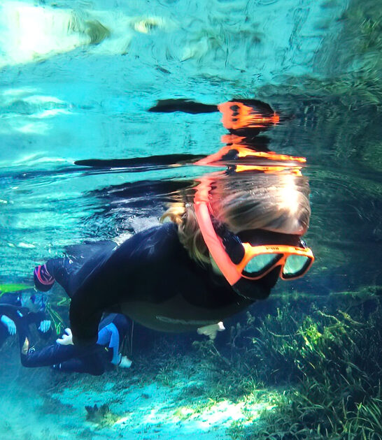 turquoise waters florida spring ftr