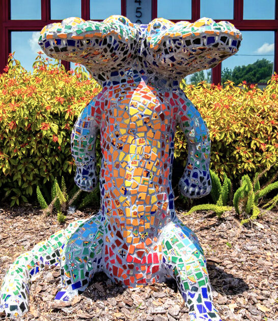 two headed gator florida ftr