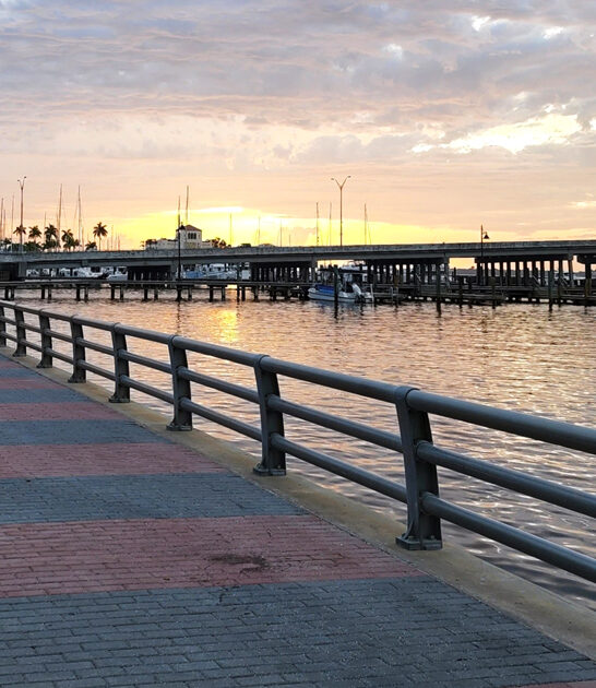 vibrant waterfront park florida ftr