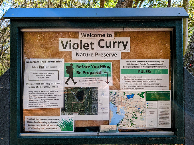 violet cury nature preserve 7
