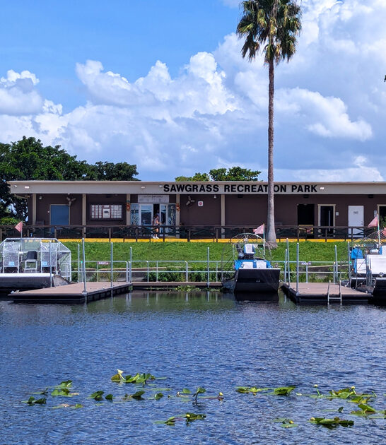 wildlife adventure park florida ftr