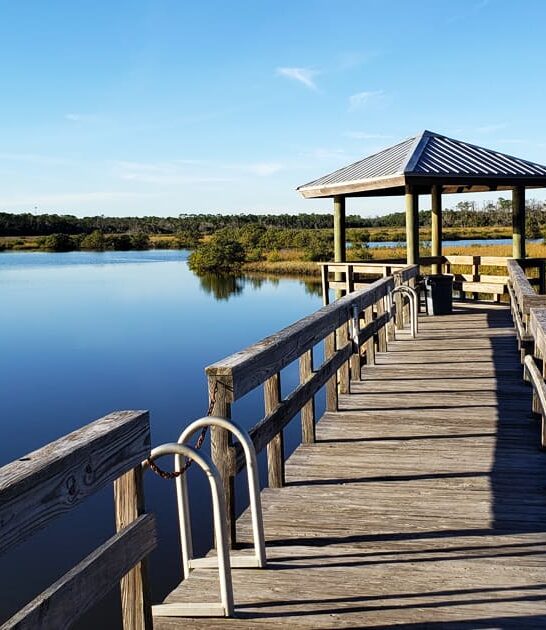 wildlife nature park florida ftr