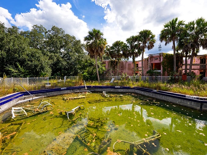 What was once a vibrant oasis now resembles a swamp from a horror film &ndash; complete with mysterious objects lurking beneath the murky surface.