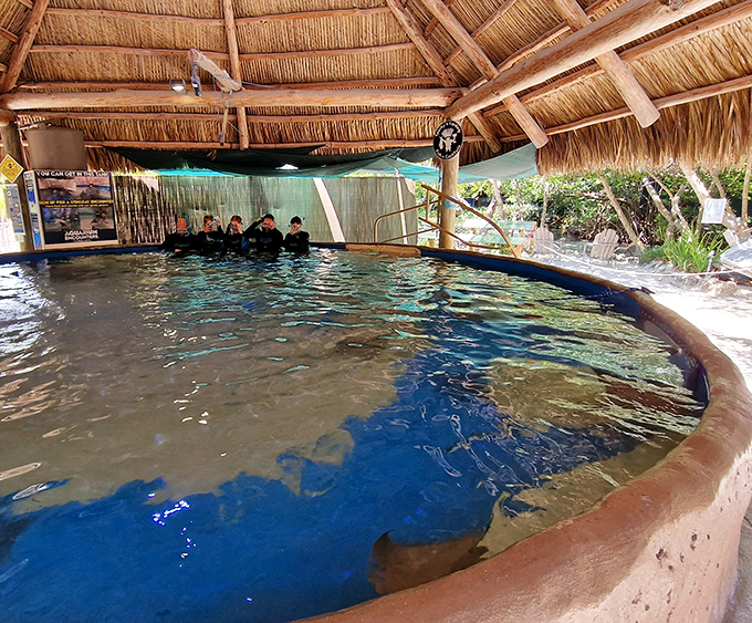 The thatched-roof entrance of Florida Keys Aquarium Encounters welcomes visitors with tropical charm and the promise of underwater adventures.