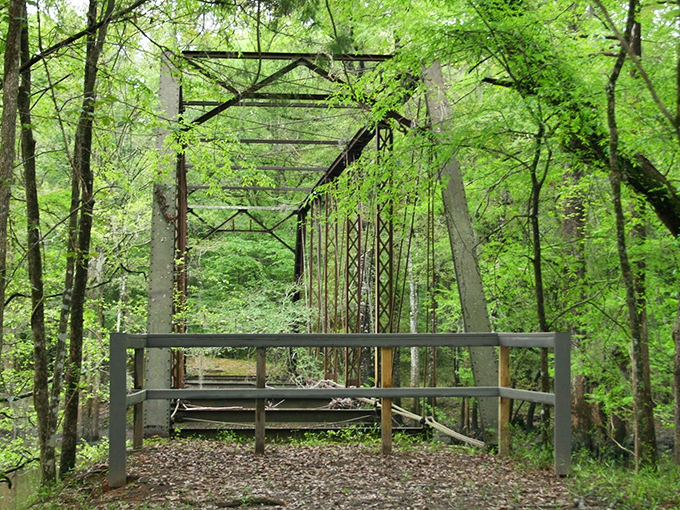 The entrance to Bellamy Bridge Heritage Trail beckons with promises of history and mystery lurking just beyond the treeline.