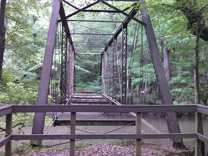 The historic Bellamy Bridge stands sentinel over the Chipola River, its metal framework a ghostly reminder of bygone days.