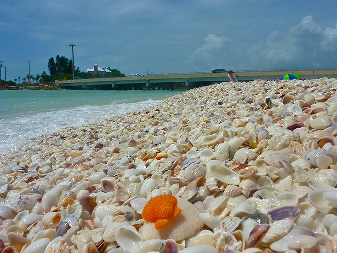 A mountain of seashells stretches along turquoise waters at Blind Pass Beach – Mother Nature's own treasure chest spilled open for lucky beachcombers.