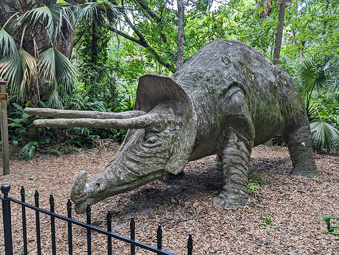 This concrete triceratops looks like he's been waiting 65 million years for someone to scratch that spot behind his frill. Bongoland's prehistoric residents have weathered Florida storms with stoic dignity.