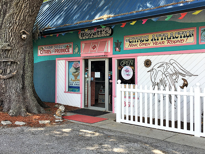 The turquoise facade of Boyett's Grove welcomes visitors like a tropical postcard come to life, complete with colorful pennant flags dancing in the Florida breeze.