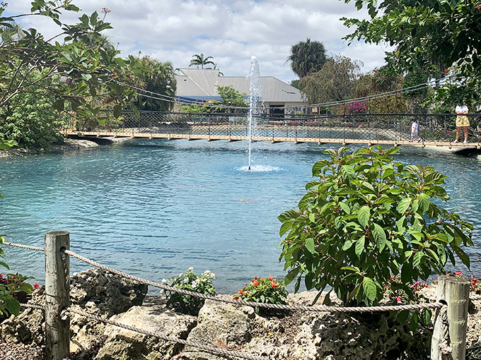 Butterfly World's tranquil lagoon creates a Caribbean-like oasis in Coconut Creek. That fountain isn't just pretty&mdash;it's butterfly air conditioning on hot Florida days!