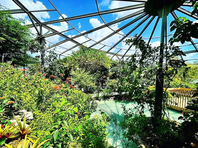 A lush tropical paradise under glass, where butterflies reign supreme and visitors become part of their colorful kingdom.