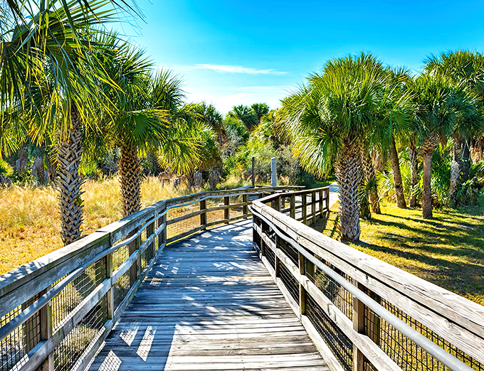 A sun-dappled boardwalk stretches between swaying palms, inviting visitors to leave their worries at the mainland and step into Caladesi's natural paradise.
