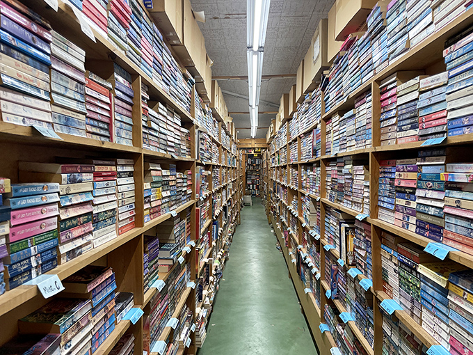A bibliophile's dream come true: endless corridors of books stretching into literary infinity at Chamblin Bookmine's main aisle.