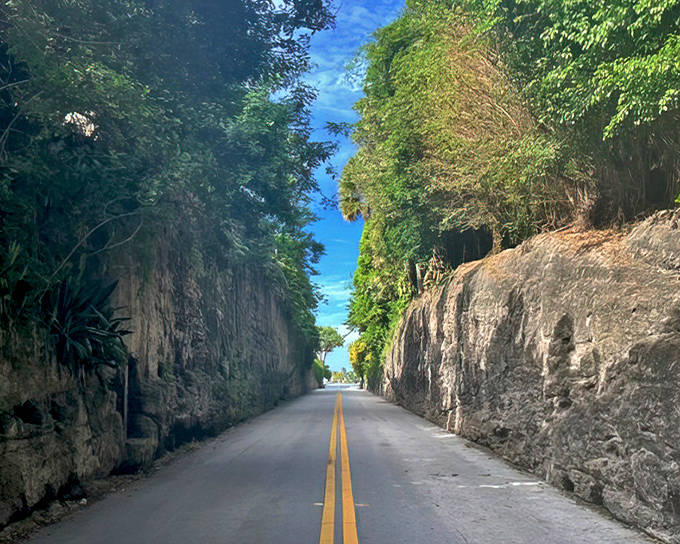 Nature's hallway: ancient coral walls stand like sentinels, guiding travelers through this geological time capsule in Palm Beach.