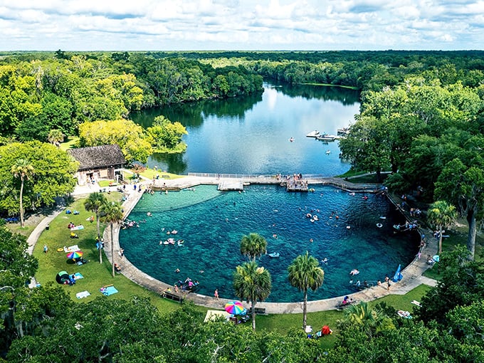 Nature's infinity pool! This aerial view showcases DeLeon Springs' perfect swimming basin where 19 million gallons of crystal-clear water invite you daily.
