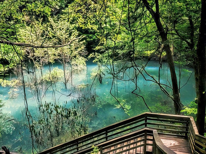 The ethereal blue-green waters of Devil's Millhopper create nature's own infinity pool, nestled within a prehistoric sinkhole that whispers ancient secrets.