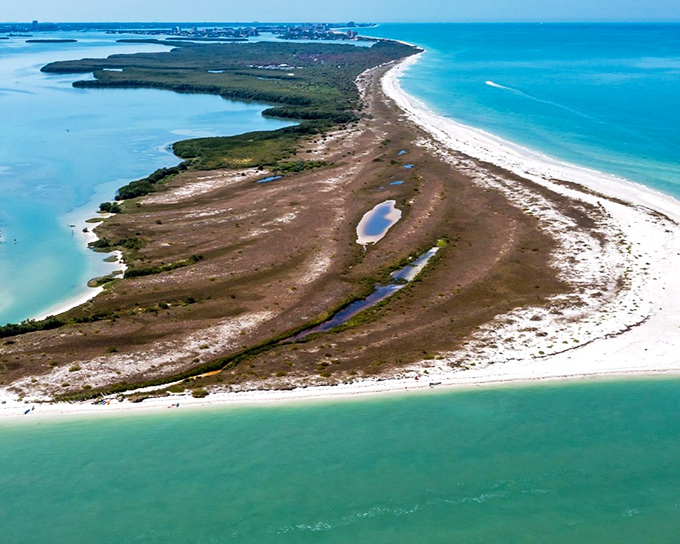 Nature's perfect comma in the Gulf of Mexico's blue sentence, Caladesi Island stretches with pristine beaches and untouched wilderness just off Dunedin's coast.