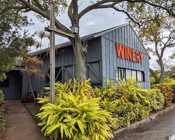 Florida Orange Groves Winery: A blue barn-like structure with vibrant "WINERY" signage stands amid lush Florida greenery, promising tropical delights within.