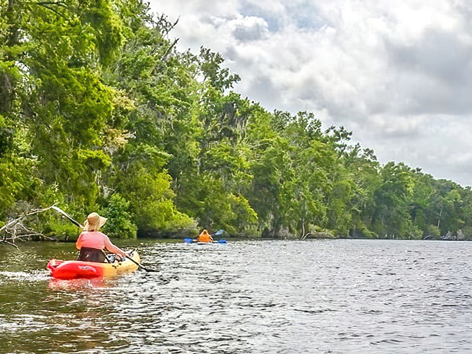 Welcome to Dunns Creek State Park, where Florida's natural beauty unfolds without a single Mickey Mouse in sight.