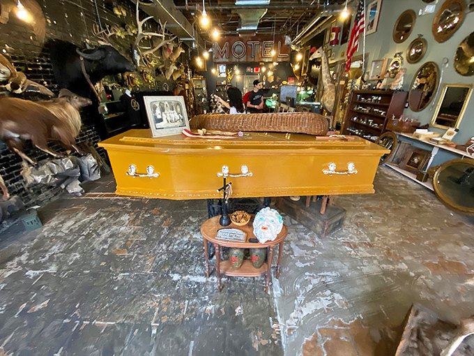 The eye-catching yellow storefront of Dysfunctional Grace Art Co. beckons curious passersby into a world where the weird becomes wonderful.