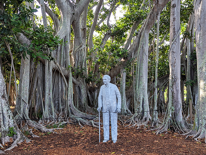 A majestic banyan tree frames a statue of Thomas Edison, standing sentinel among the tropical splendor he helped create.