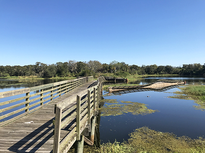 A wooden boardwalk stretches across tranquil waters at Edward Medard Conservation Park, where nature's serenity awaits just steps from civilization.