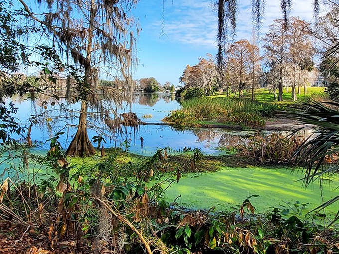Harry P. Leu Gardens welcomes visitors with 50 acres of botanical wonders, where Florida's natural beauty takes center stage away from Orlando's theme park hustle.