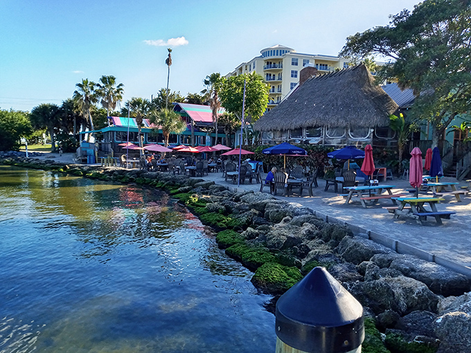 Waterfront paradise: Squid Lips' thatched-roof deck hovers magically over the Indian River Lagoon, where every table comes with a side of spectacular views.