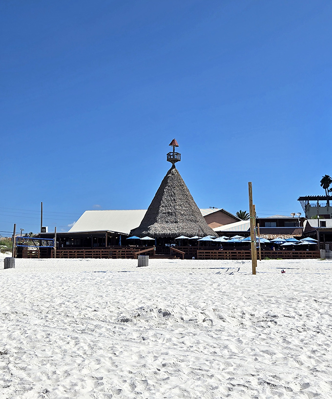 Sharky's distinctive thatched tiki roof rises from Panama City Beach's sugar-white sands like a tropical mirage, promising good times and fresh seafood.