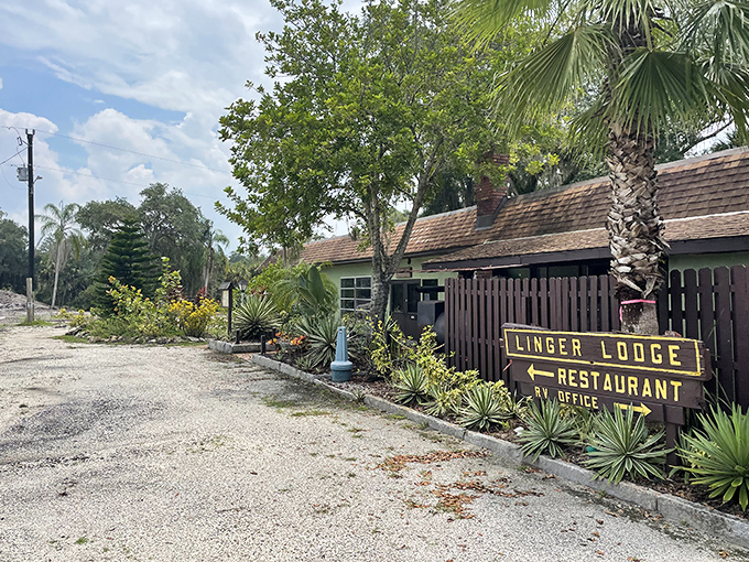 Nestled among Florida palms, Linger Lodge's unassuming entrance promises adventure beyond its wooden sign and gravel path.