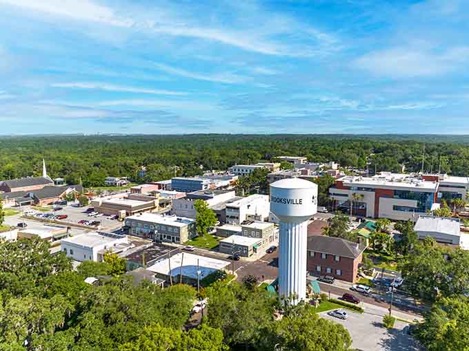 From above, Brooksville spreads out like a postcard from Old Florida, where the water tower still bears the town's name with pride.