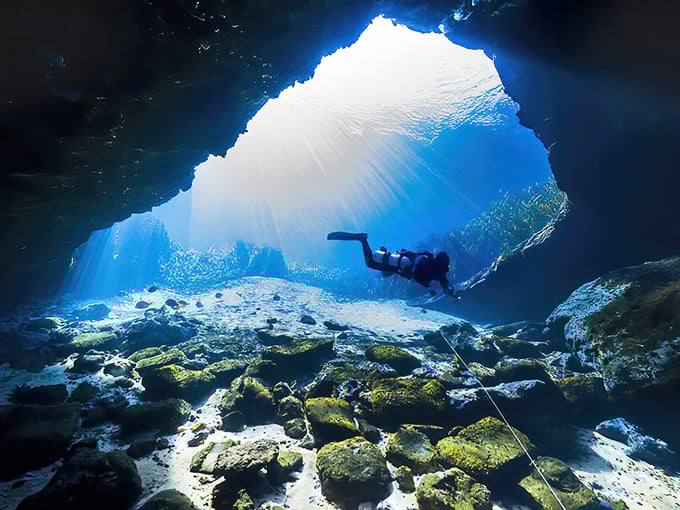A diver explores the ethereal blue depths of Jackson Blue Springs, where sunlight creates an underwater light show worthy of a sci-fi film.