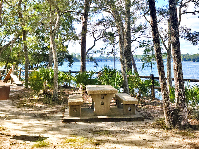A peaceful picnic table nestled among towering pines, offering a front-row seat to Rocky Bayou's shimmering waters.