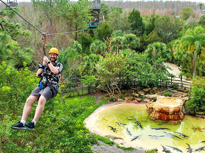 Soaring above prehistoric predators, this zipline adventure gives new meaning to "living on the edge" while alligators lounge below.