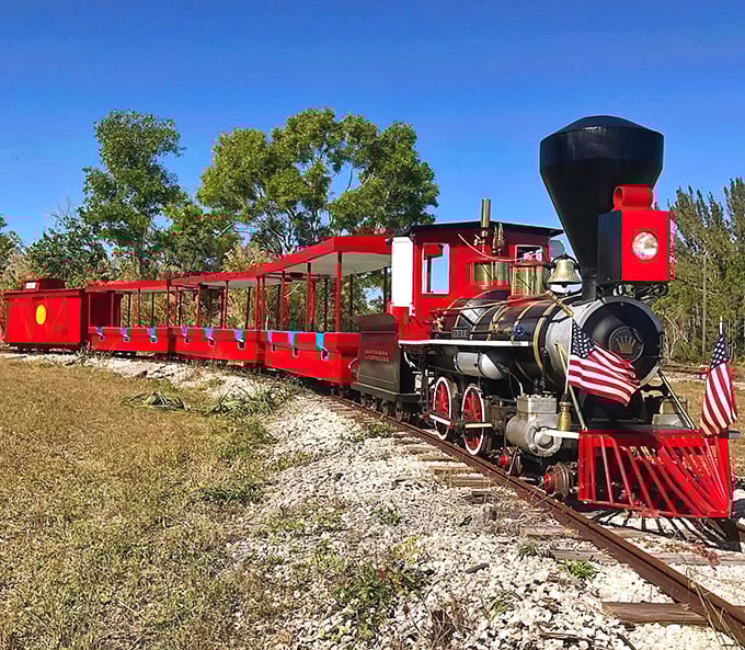 The crimson beauty of this vintage locomotive gleams under the Florida sun, its American flags fluttering proudly as it prepares for another journey through time.