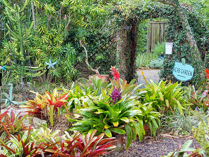 A secret garden door beckons visitors into Heathcote's herb sanctuary, where fragrant rosemary and basil create nature's most aromatic welcome committee.