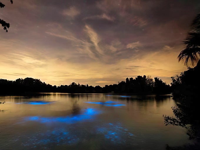 Twilight magic unfolds as bioluminescent waters transform Indian River Lagoon into nature's own light show, glowing mysteriously beneath the darkening sky.