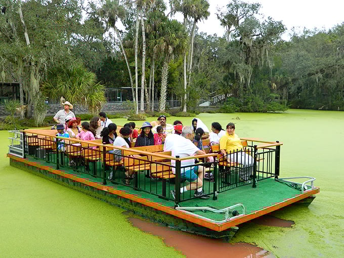 Welcome to Jungle Adventures, where the entrance is literally through an alligator's mouth. Talk about making a first impression!