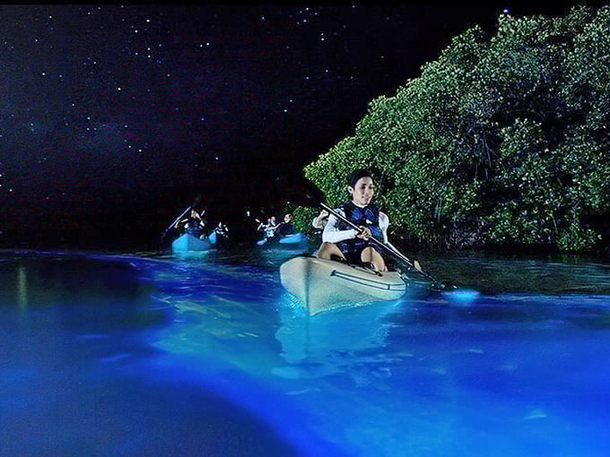 When your evening paddle looks like something from Avatar, you know you've found Florida's best-kept secret.