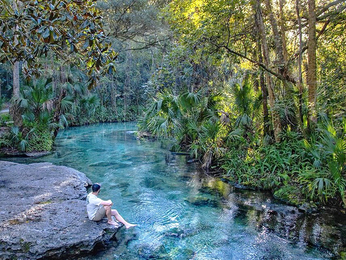 Nature's masterpiece: Kelly Park's crystalline waters invite visitors to dive into a world where blue isn't just a color&mdash;it's an experience.
