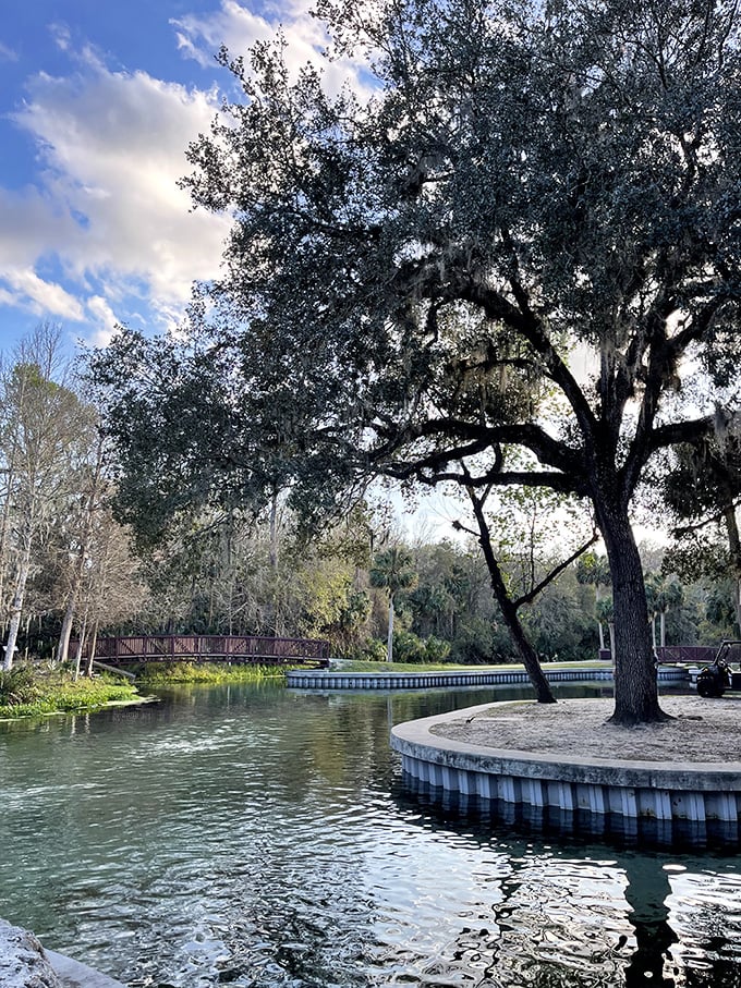 Tranquility personified: A majestic oak draped with Spanish moss stands sentinel over Rock Springs' crystal waters.